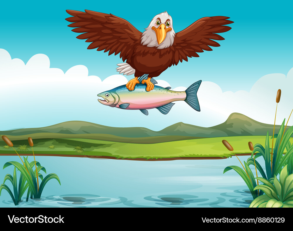 Eagle catching fish in the lake Royalty Free Vector Image