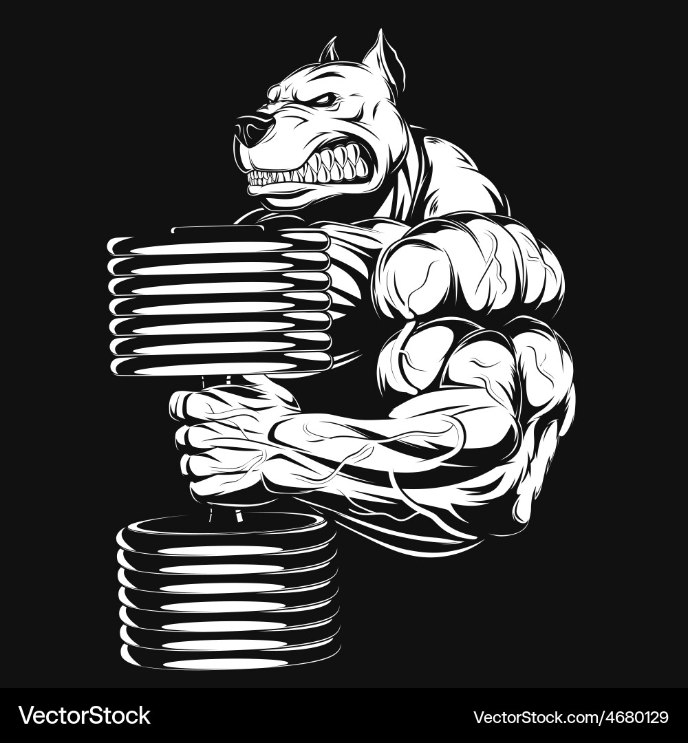 Muscular Dog with Dumbbells Royalty Free Vector Image