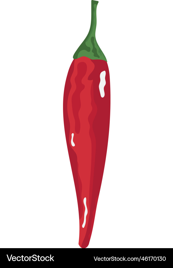 Jalapeno chilli pepper vegetable Royalty Free Vector Image