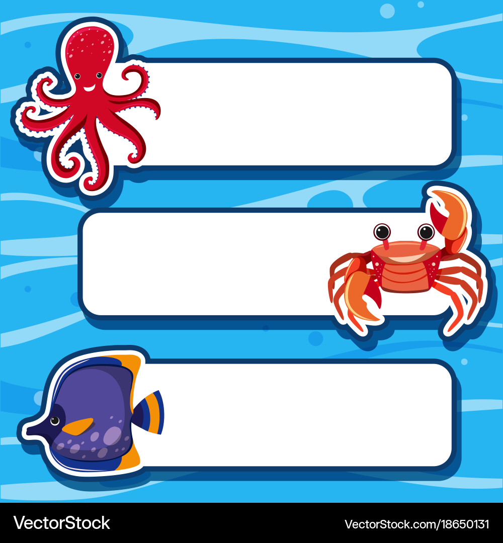 Banner template with three types of sea animals Vector Image