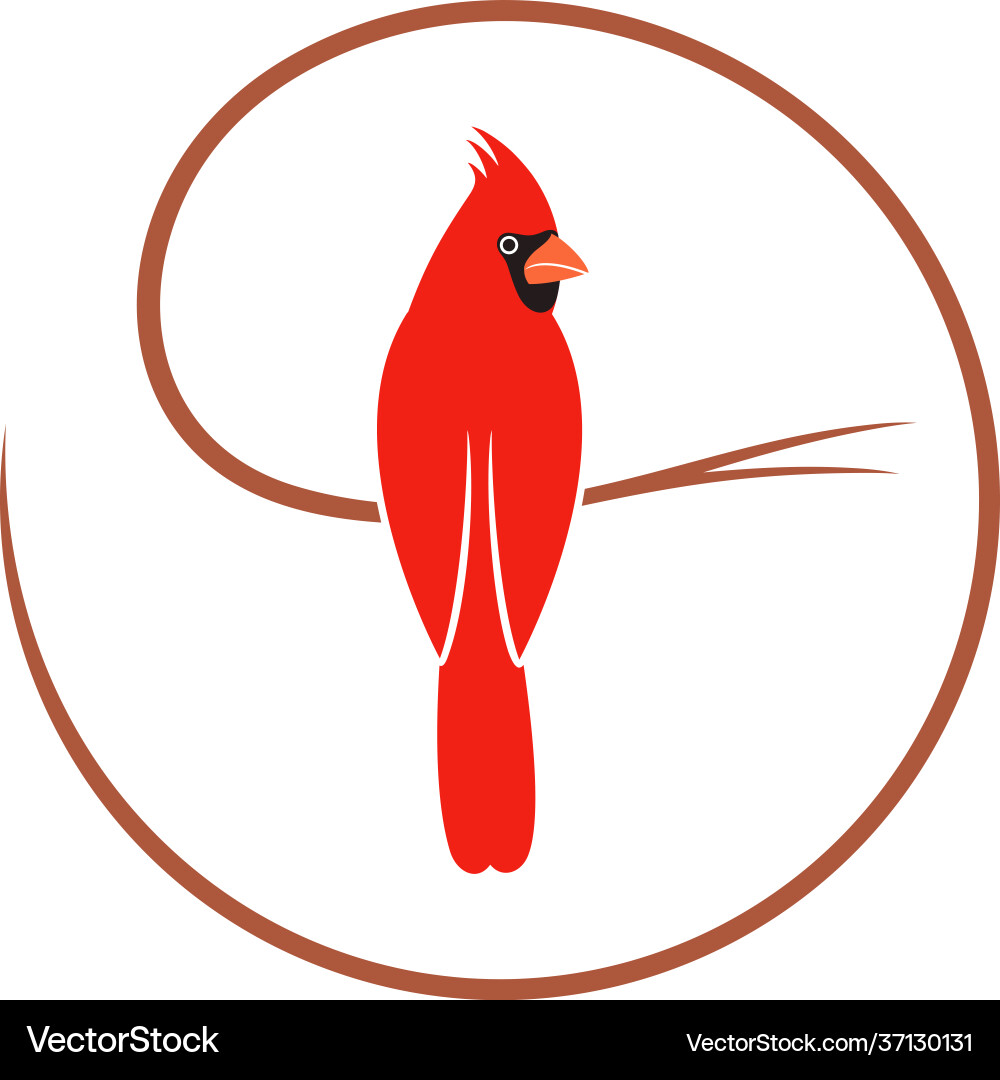 Cardinal bird Royalty Free Vector Image - VectorStock