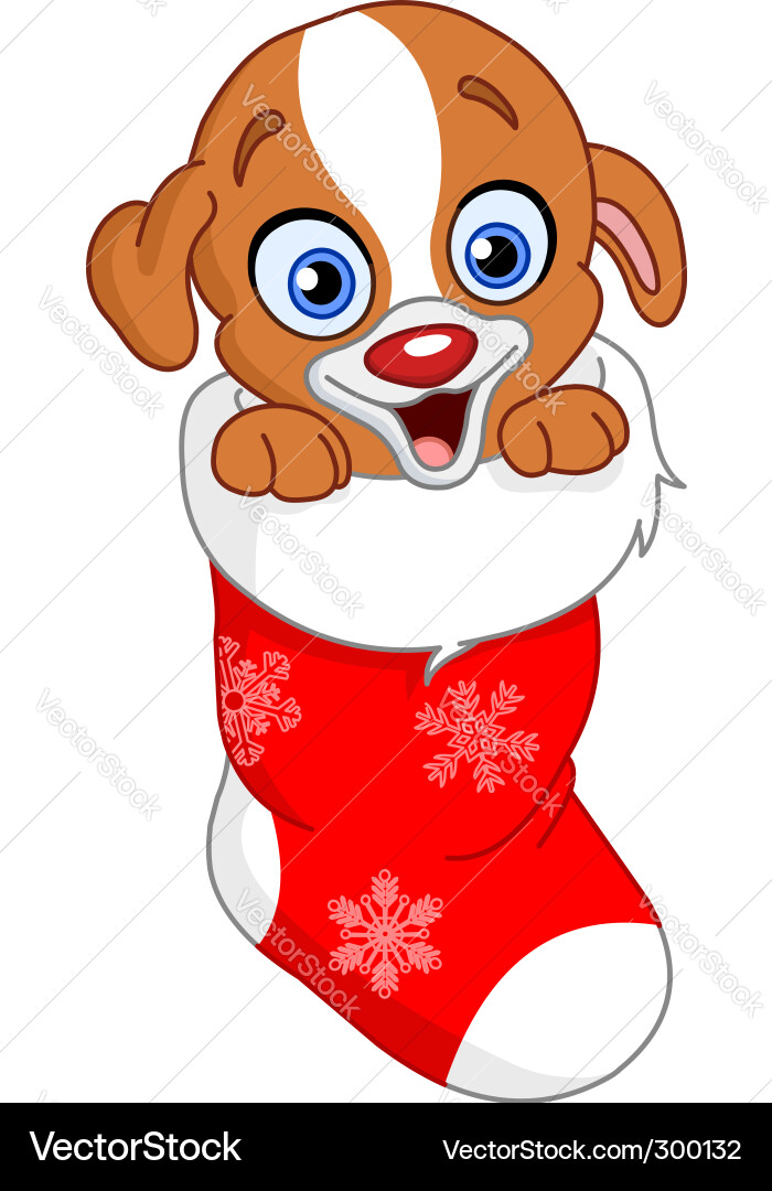 Christmas Puppy in Stocking Royalty Free Vector Image