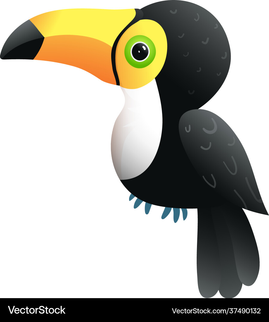 Cute baby toucan for kids Royalty Free Vector Image