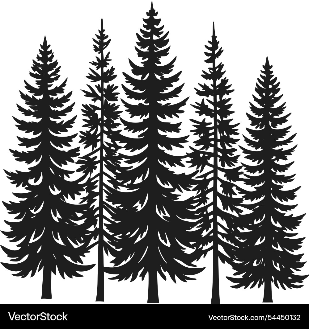 Pine Tree Silhouettes Royalty Free Vector Image