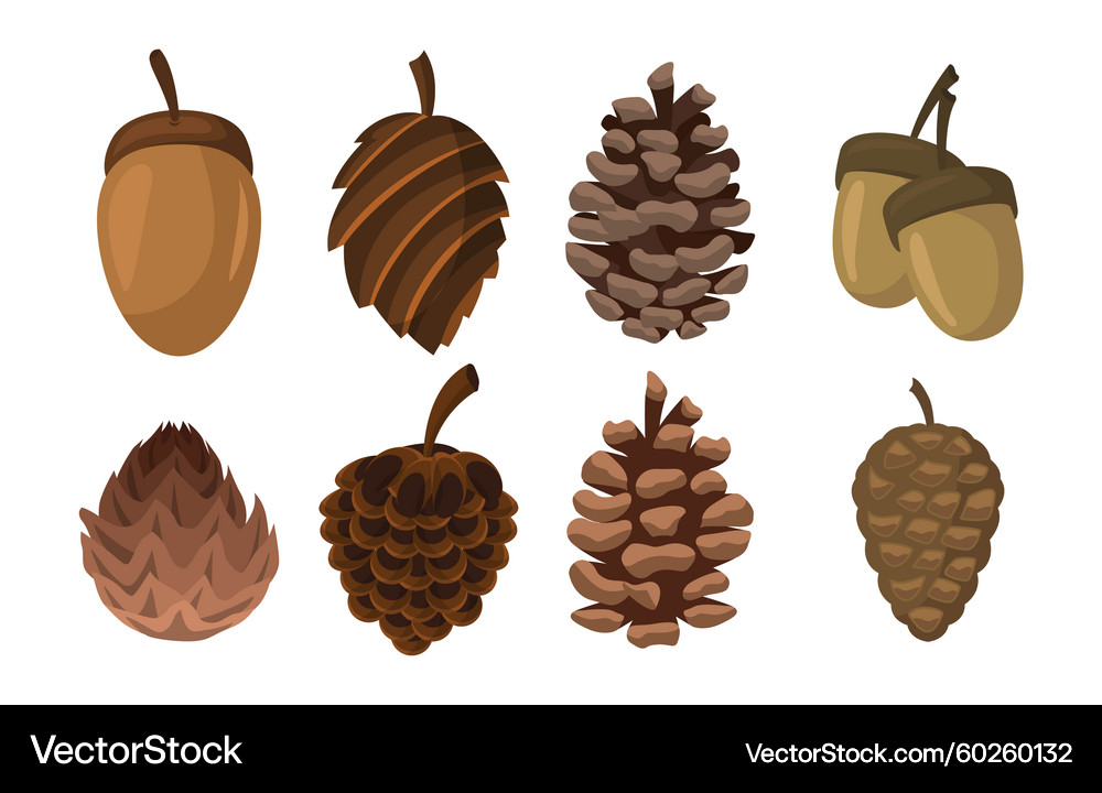 Pinecone Icon Set (60260132) – Royalty-Free Vector | VectorStock