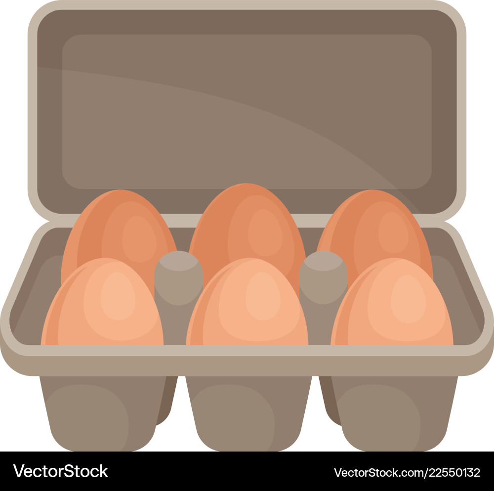 Raw eggs in cardboard container organic farm Vector Image