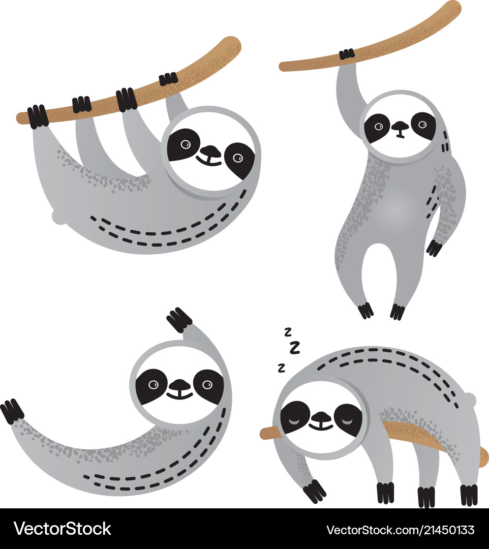 Cute sloth bear animal set Royalty Free Vector Image