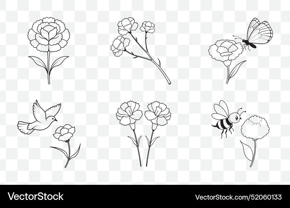 Print elegant carnation line art set Royalty Free Vector