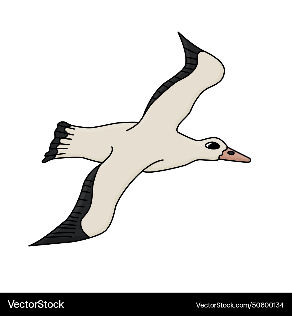 Albatross seabird cartoon hand drawn Royalty Free Vector