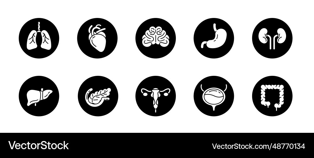 Human internal organ icon set on black circle Vector Image