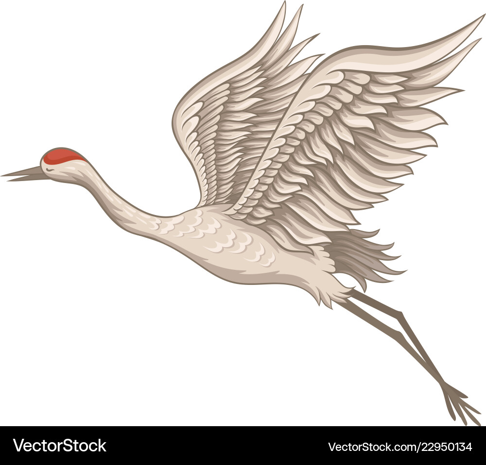 Red-Crowned Crane in Flight Royalty Free Vector Image