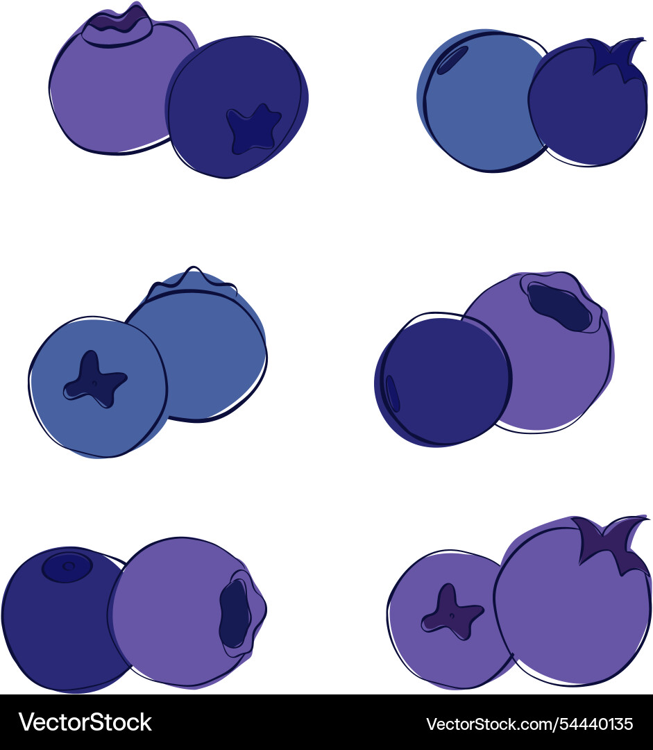 Blueberry composition set graphic line two blue Vector Image
