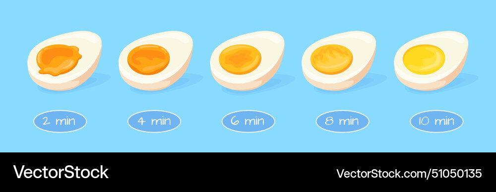 Boiling eggs time chicken boiled egg half cooking Vector Image