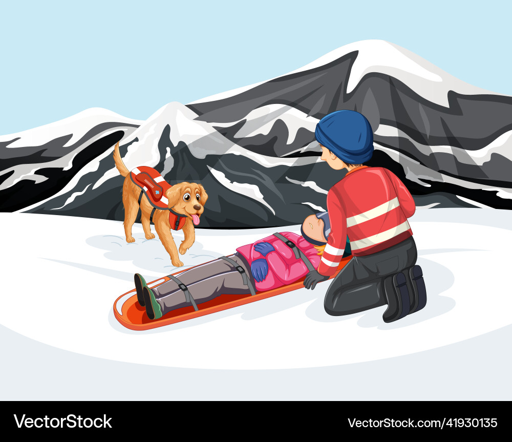 Rescue using stretcher on snow mountain Royalty Free Vector