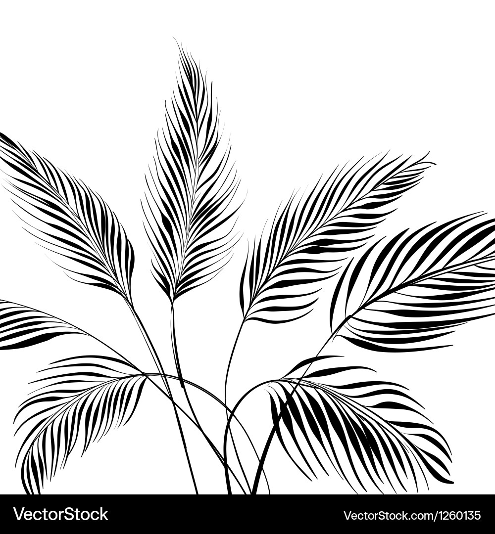 Single Palm Tree Royalty Free Vector Image - VectorStock