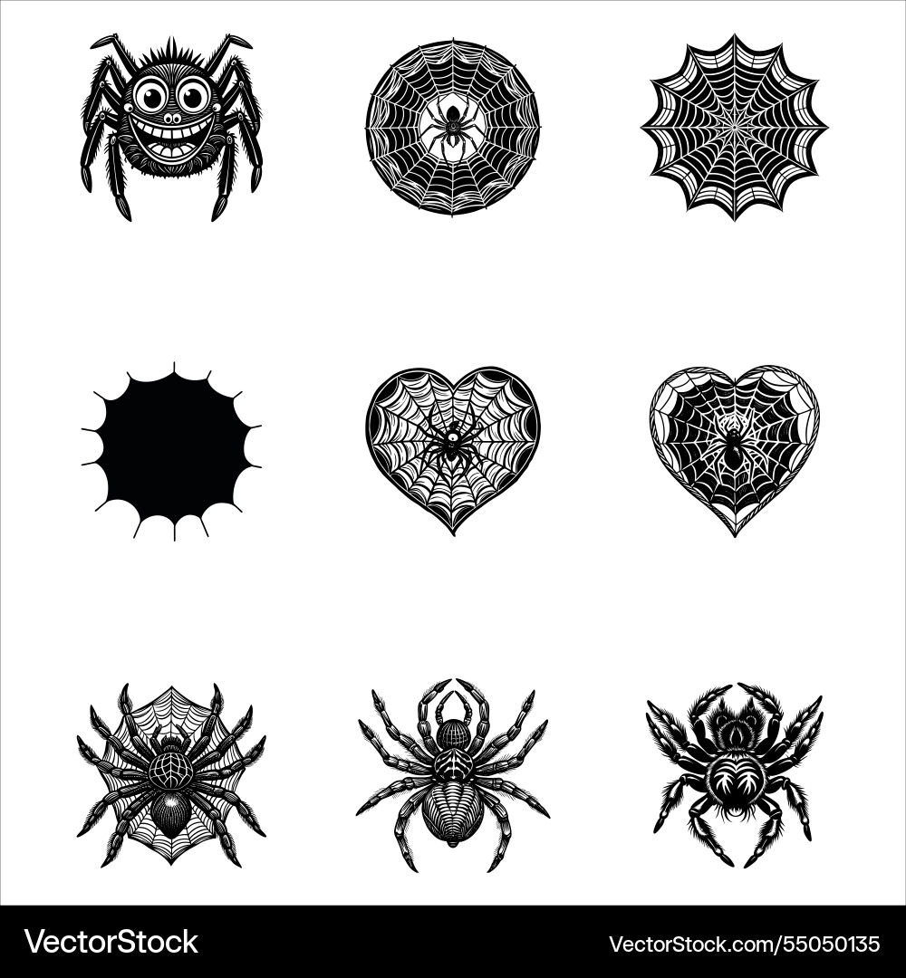 Spider Royalty Free Vector Image - VectorStock