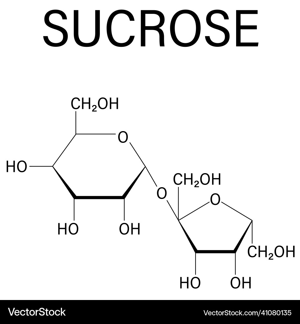 Sucrose sugar molecule skeletal formula Royalty Free Vector