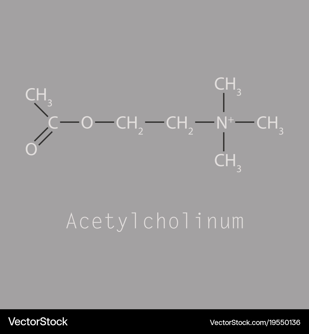 Acetylcholine is an organic chemical Royalty Free Vector