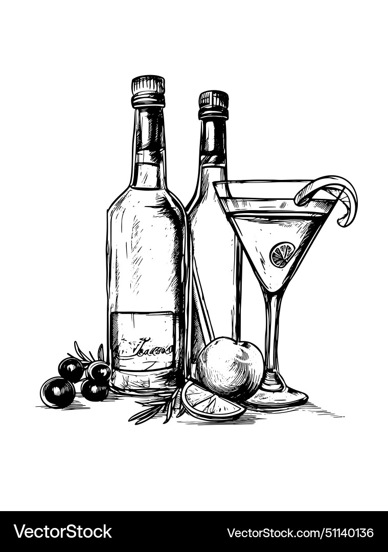 Aperitif isolated bottles and glass with wine Vector Image