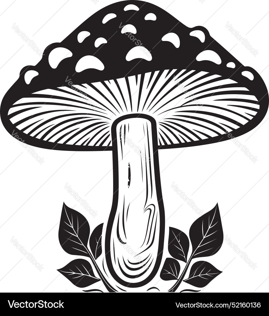 Mycelium medley mushroom logo design spore spark Vector Image