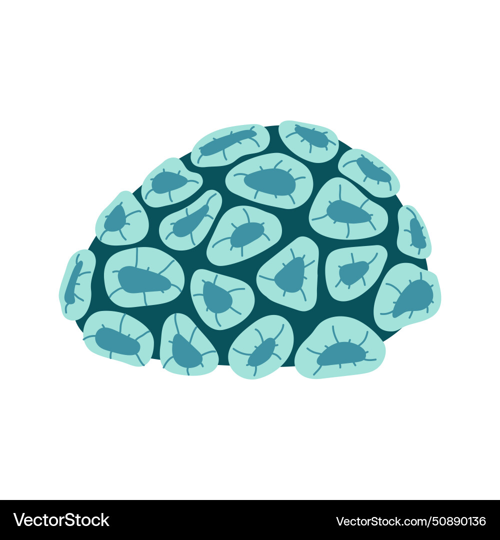 Palythoa coral polyps hand drawn exotic reef Vector Image