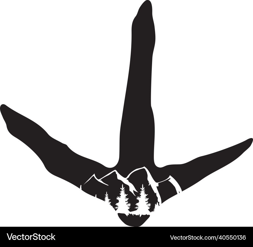 Turkey track Royalty Free Vector Image - VectorStock