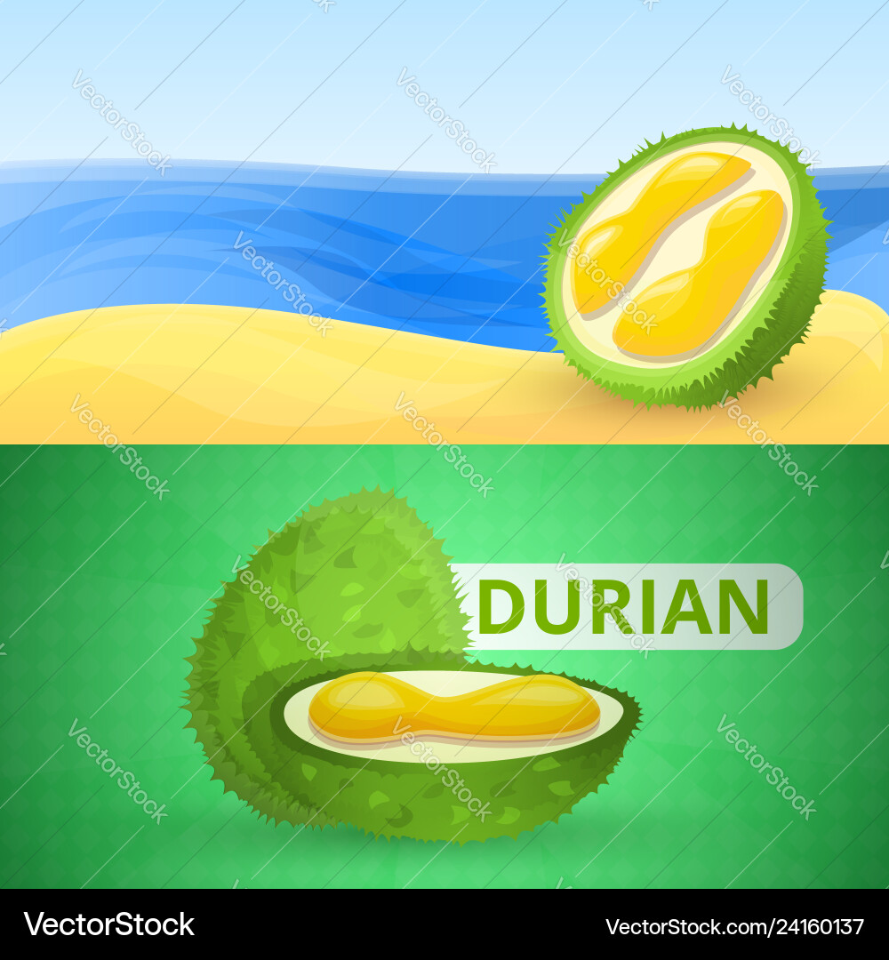 Fresh durian banner set cartoon style Royalty Free Vector