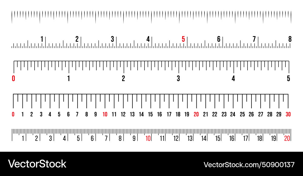 Ruler scale background on a white Royalty Free Vector Image
