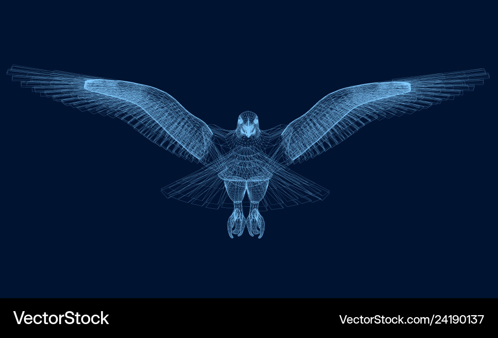 Wireframe of an eagle has spread its wings 3d Vector Image
