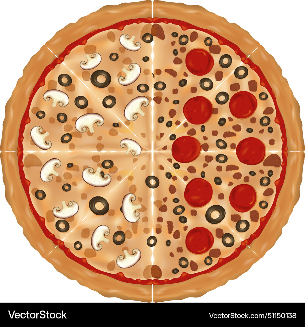A pizza with various toppings Royalty Free Vector Image
