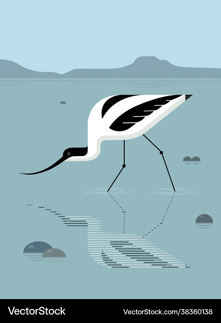 Avocet Royalty Free Vector Image - VectorStock