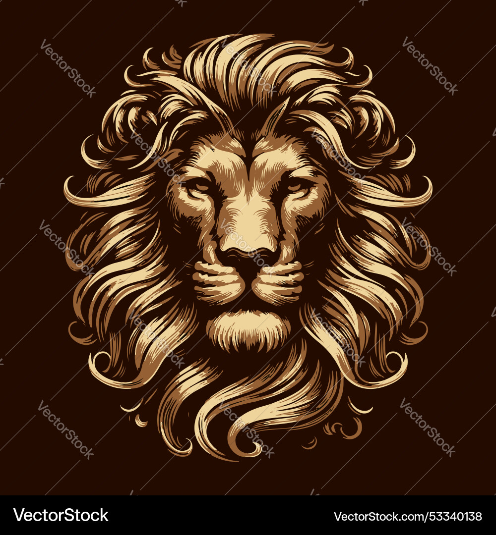Majestic lion face Royalty Free Vector Image - VectorStock