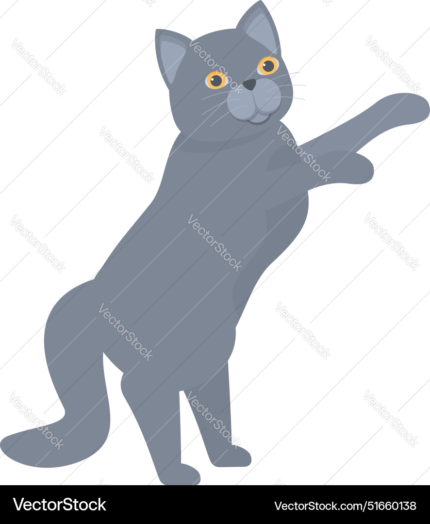 Playful gray cat standing on hind legs Royalty Free Vector