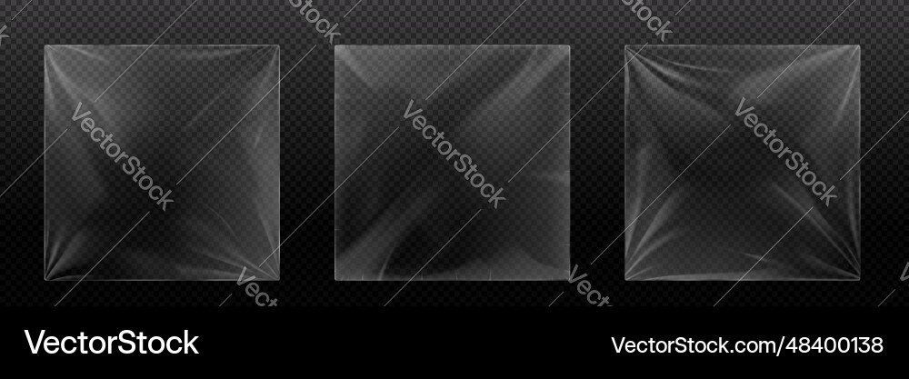 Vinyl cover with shrink effect - realistic Vector Image