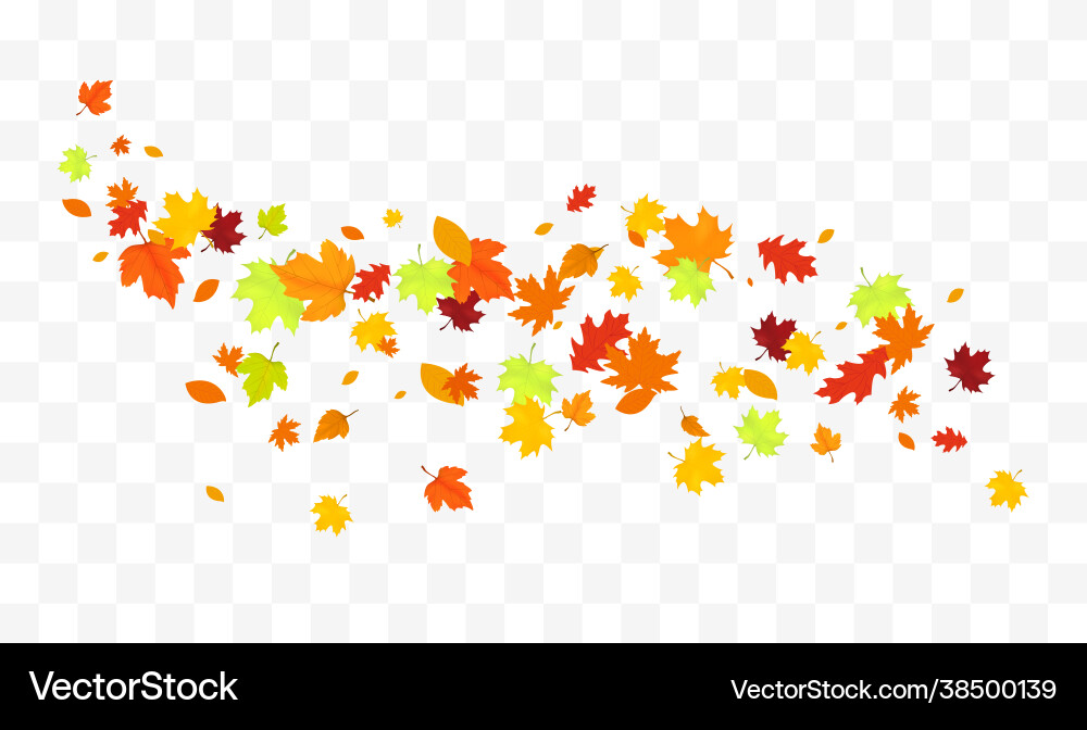Autumn falling leaves isolated Royalty Free Vector Image