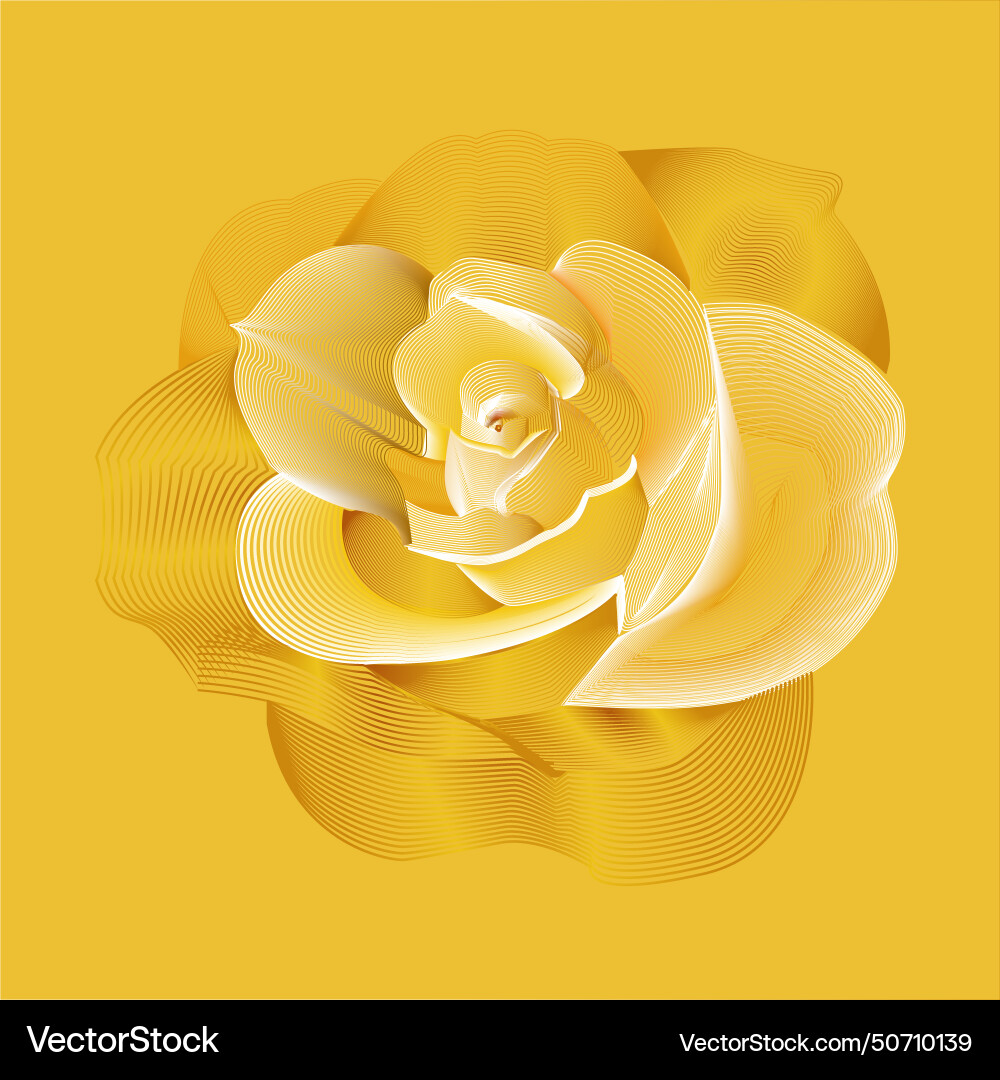 Dotted spiral vortex rose Royalty Free Vector Image