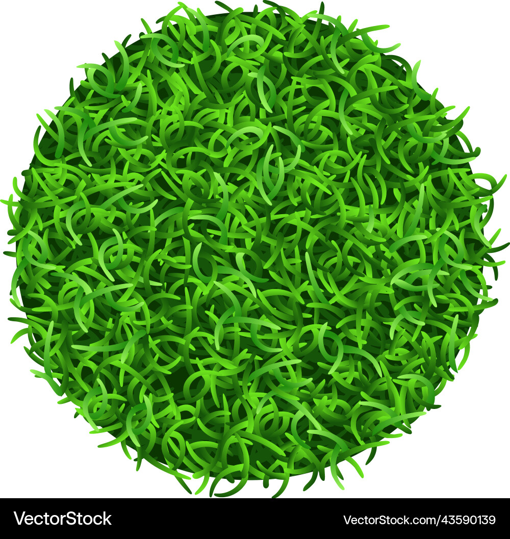 Grass circle realistic lawn round patch top view Vector Image