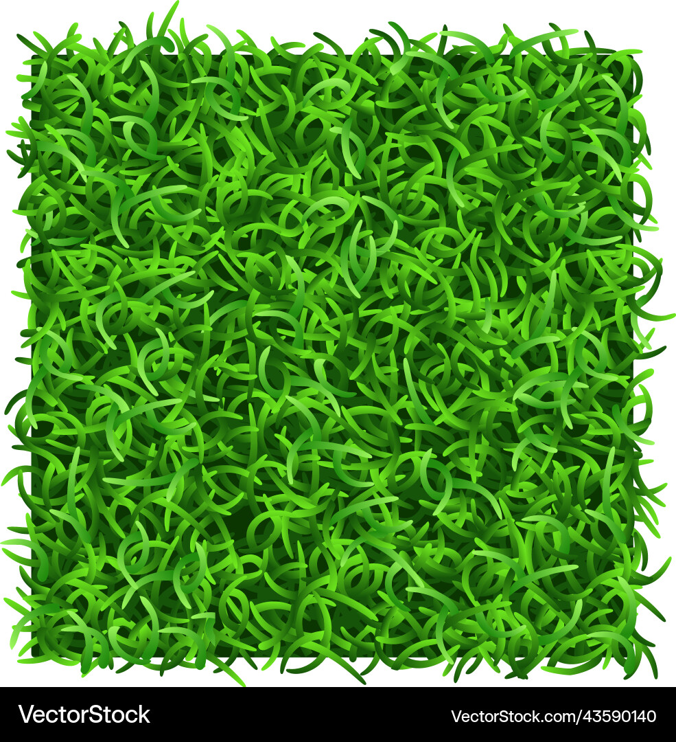 Gras Patch Top-Ansicht realistisch Rasenfliese Vektorbild