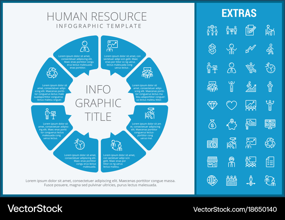 Human resource infographic template and elements Vector Image