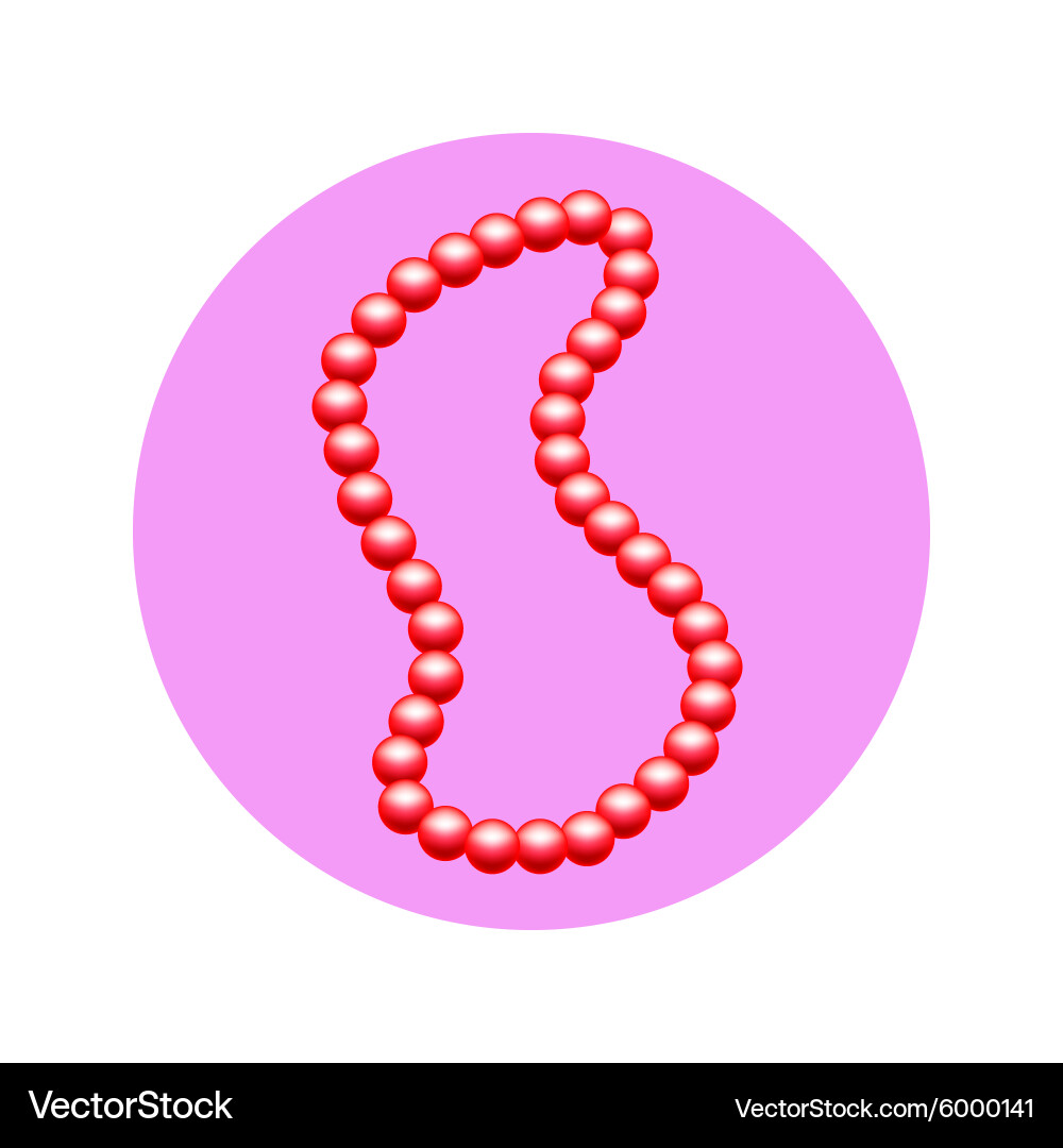 Bead in circle Royalty Free Vector Image - VectorStock