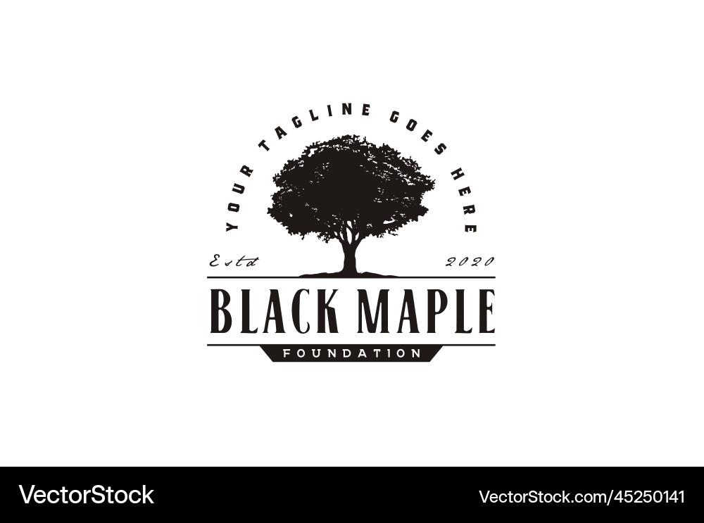 Oak maple tree residential landscape vintage logo Vector Image