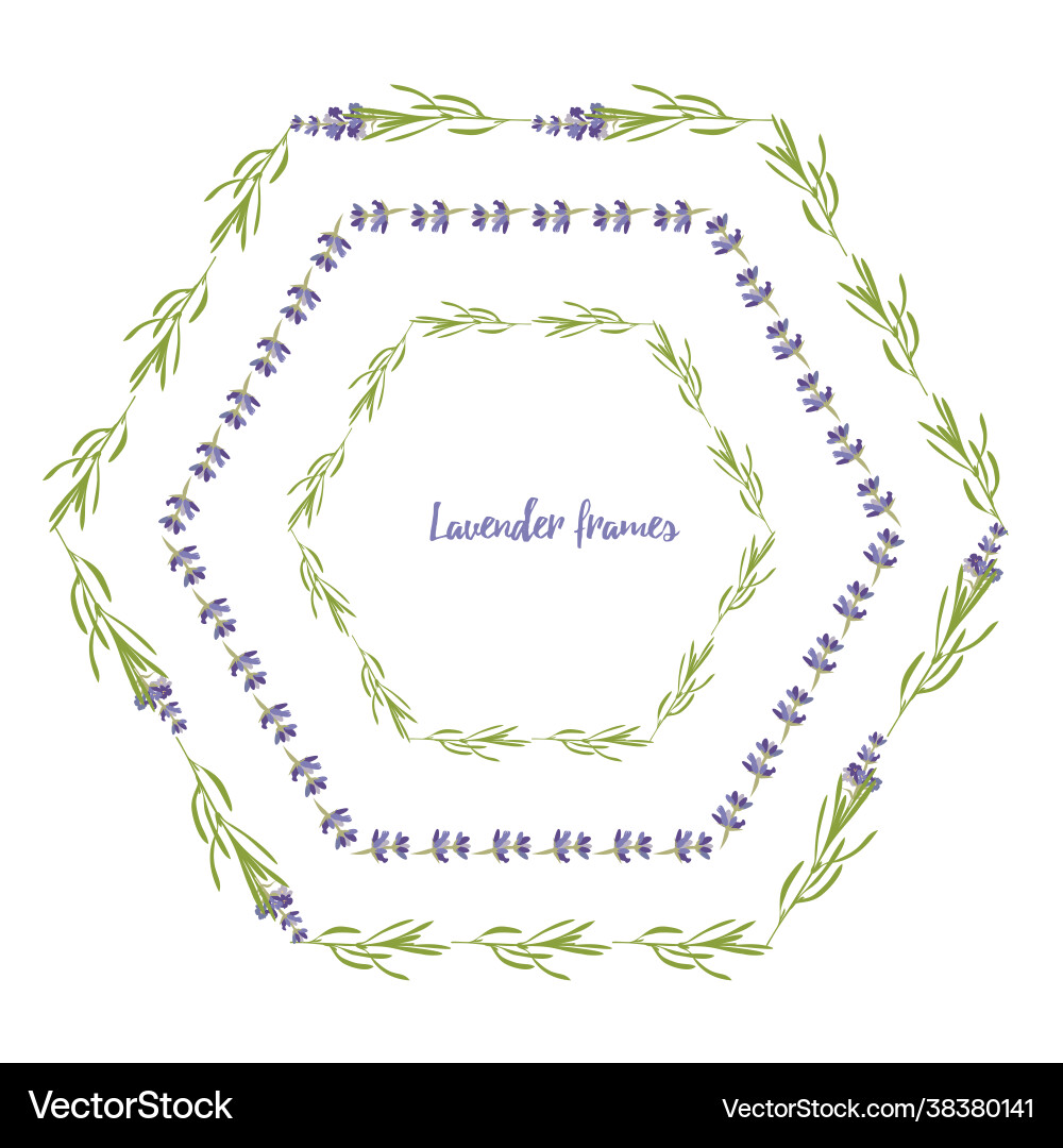 Set violet lavender beautiful floral frames Vector Image