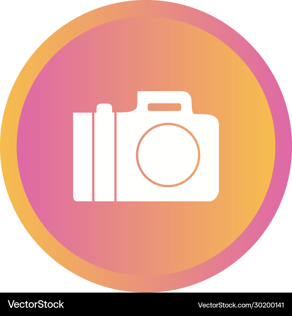 Unique camera glyph icon Royalty Free Vector Image
