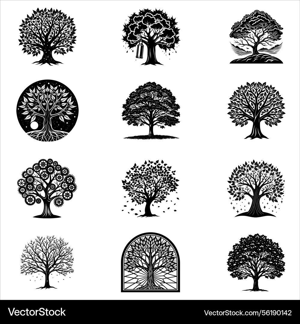 Ash tree bundle Royalty Free Vector Image - VectorStock