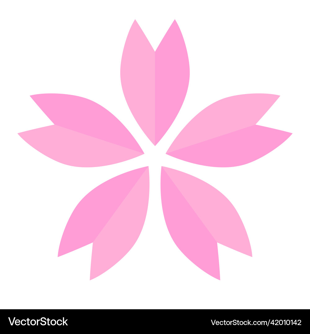Pink cherry blossom petals Royalty Free Vector Image