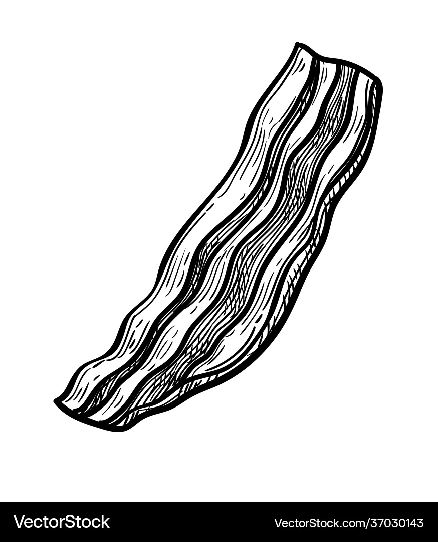 Ink sketch fried bacon Royalty Free Vector Image