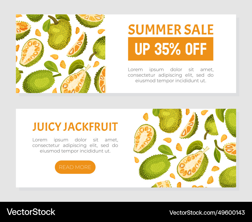 Jackfruit natürliches Banner-Design mit grün Vektorbild