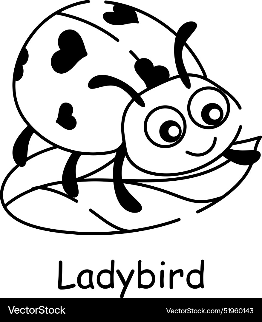 Ladybird Royalty Free Vector Image - VectorStock