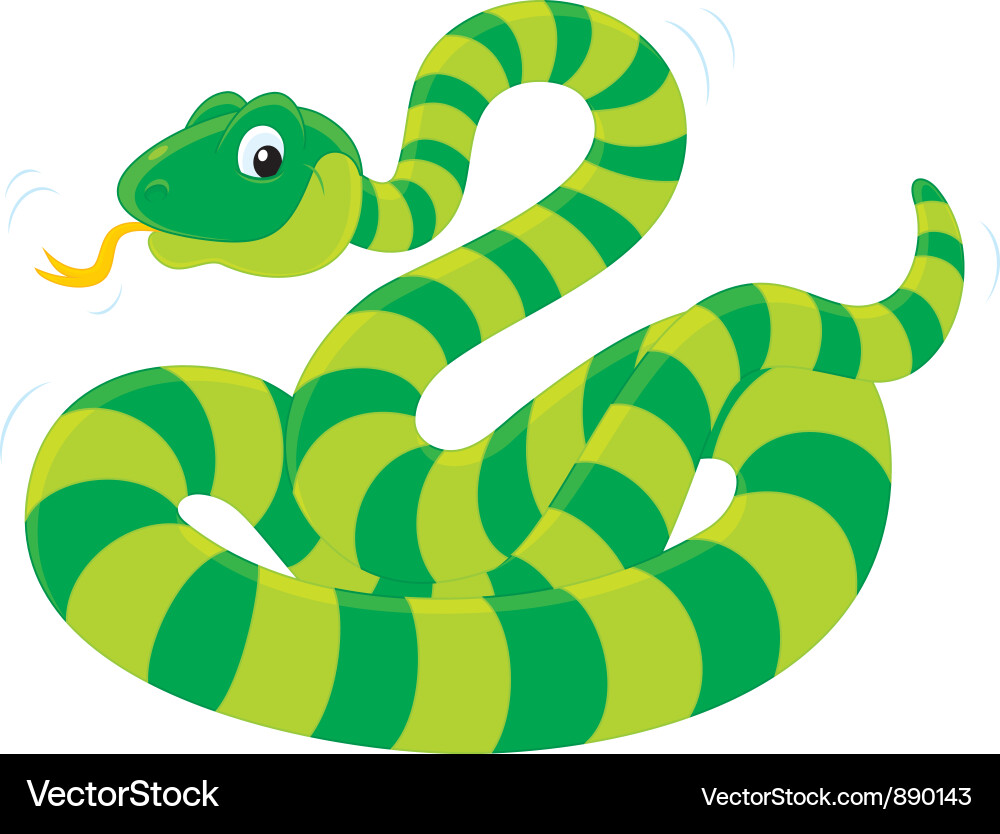 Snake Hissing Vector Images (over 370)