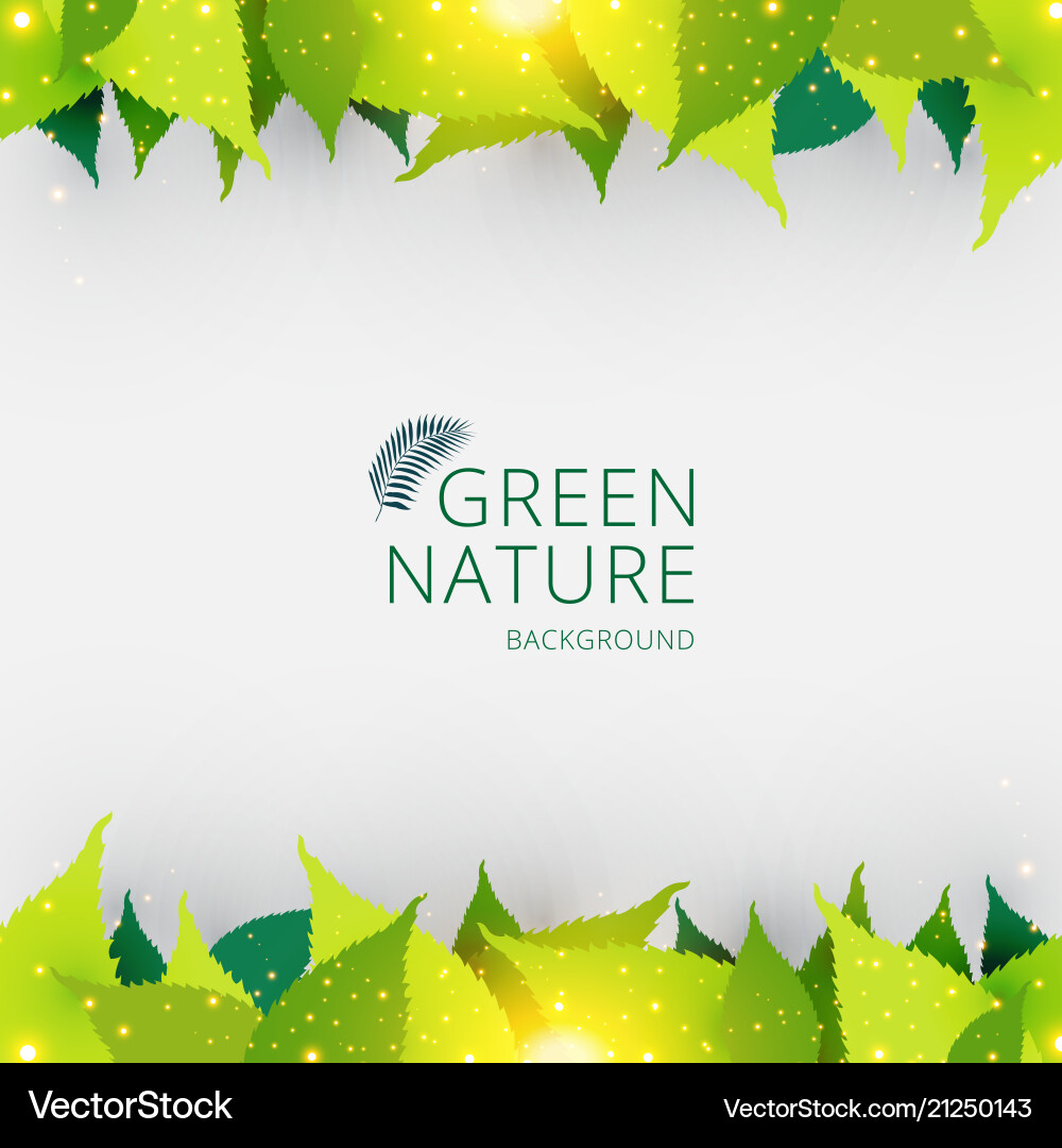 Template header or footer green leaves nature Vector Image